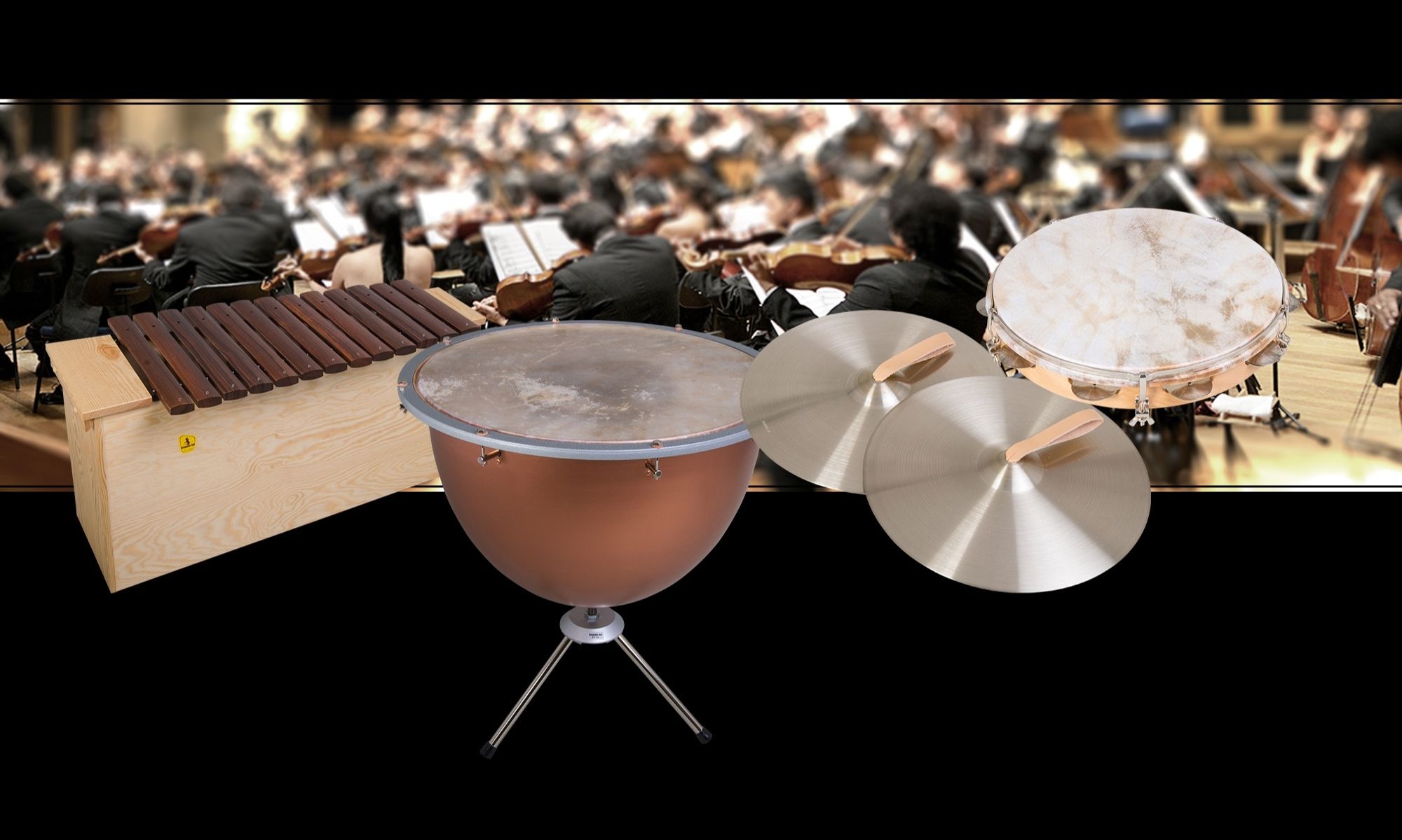 STUDIO 49 Der Name für Qualität und Klang