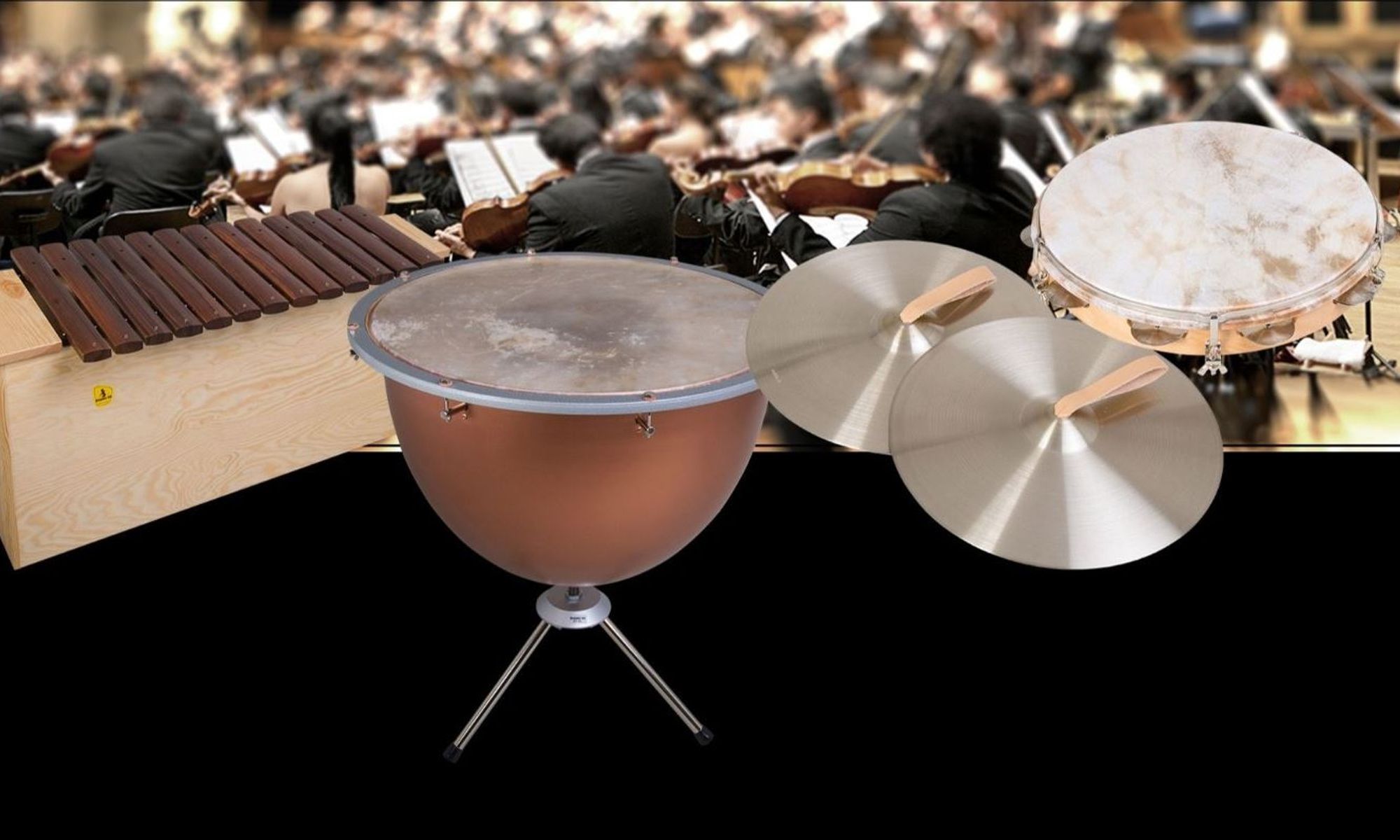 STUDIO 49 Der Name für Qualität und Klang